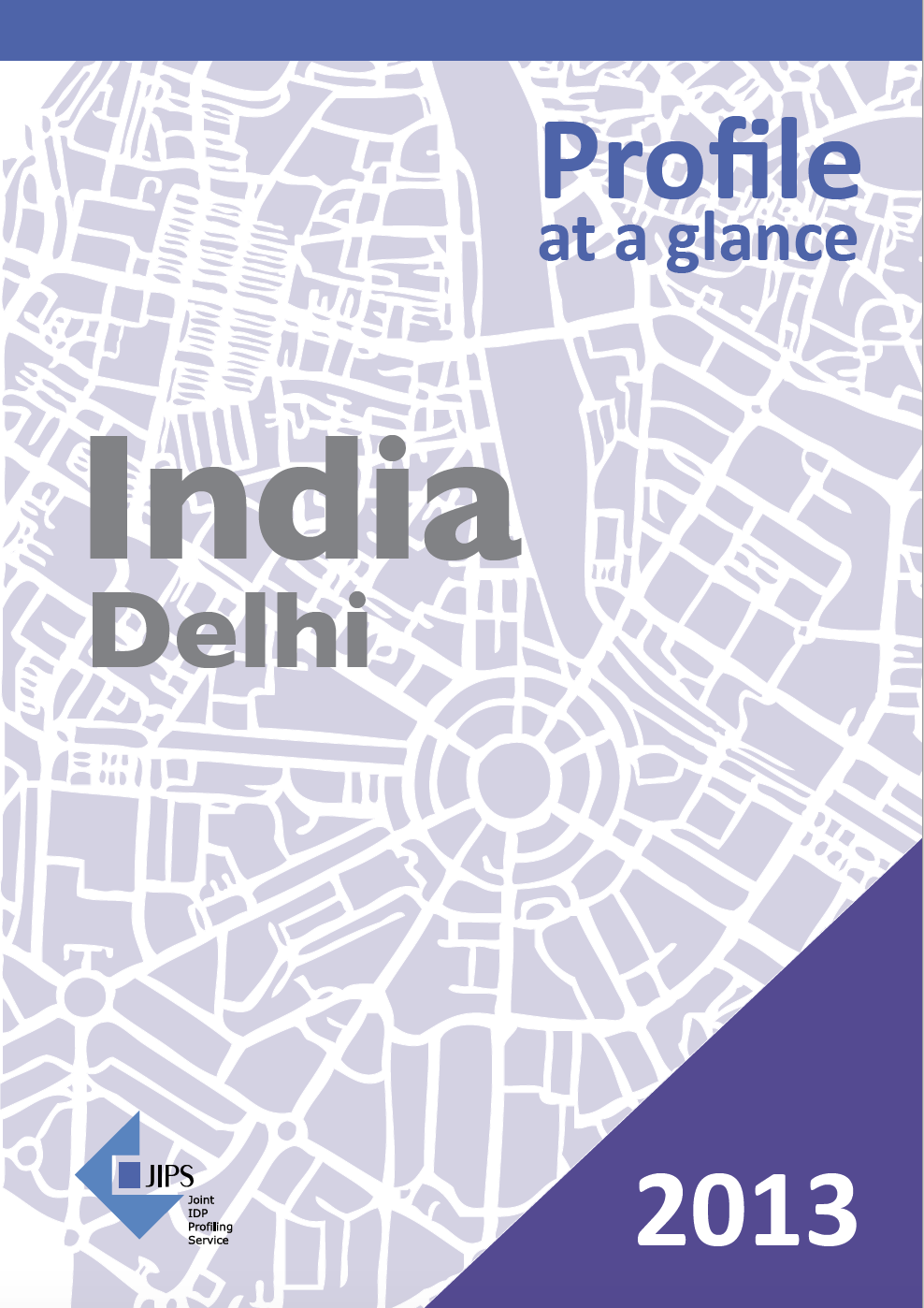 Profile At a Glance: The Use of Profiling in India (Delhi, 2018) - JIPS ...