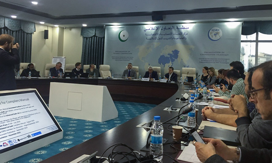 Advancing Work on the Compilers Manual: EGRIS’ 3rd All-Members Meeting ...