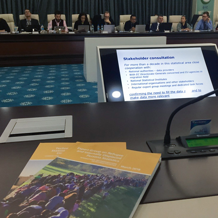 International Recommendations on IDP Statistics Becoming Real: Update ...