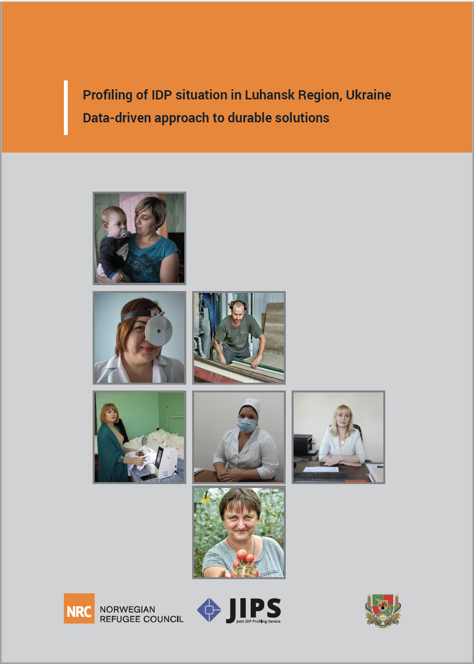 Profiling of IDP Situation in Luhansk Region, Ukraine: Data-Driven ...