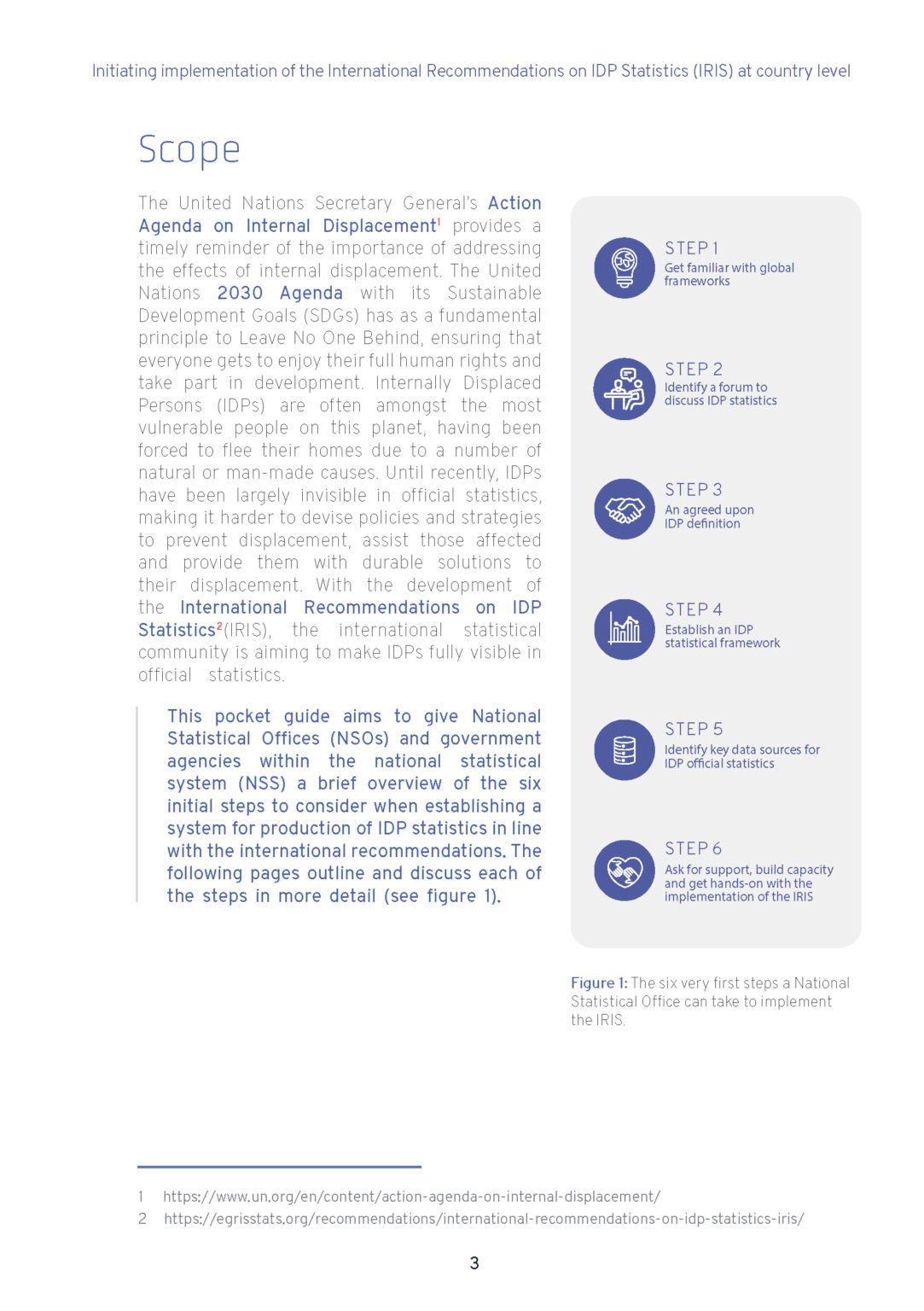 Initiating Implementation of the IRIS at Country Level. A Pocket Guide ...